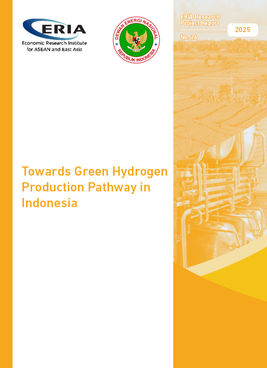 Towards Green Hydrogen Production Pathway in Indonesia | Economic ...