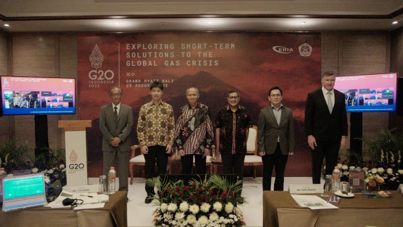 'Exploring Short-term Solutions to the Global Gas Crisis' - G20 Energy ...