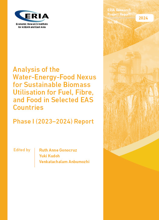 Analysis of the Water-Energy-Food Nexus for Sustainable Biomass ...