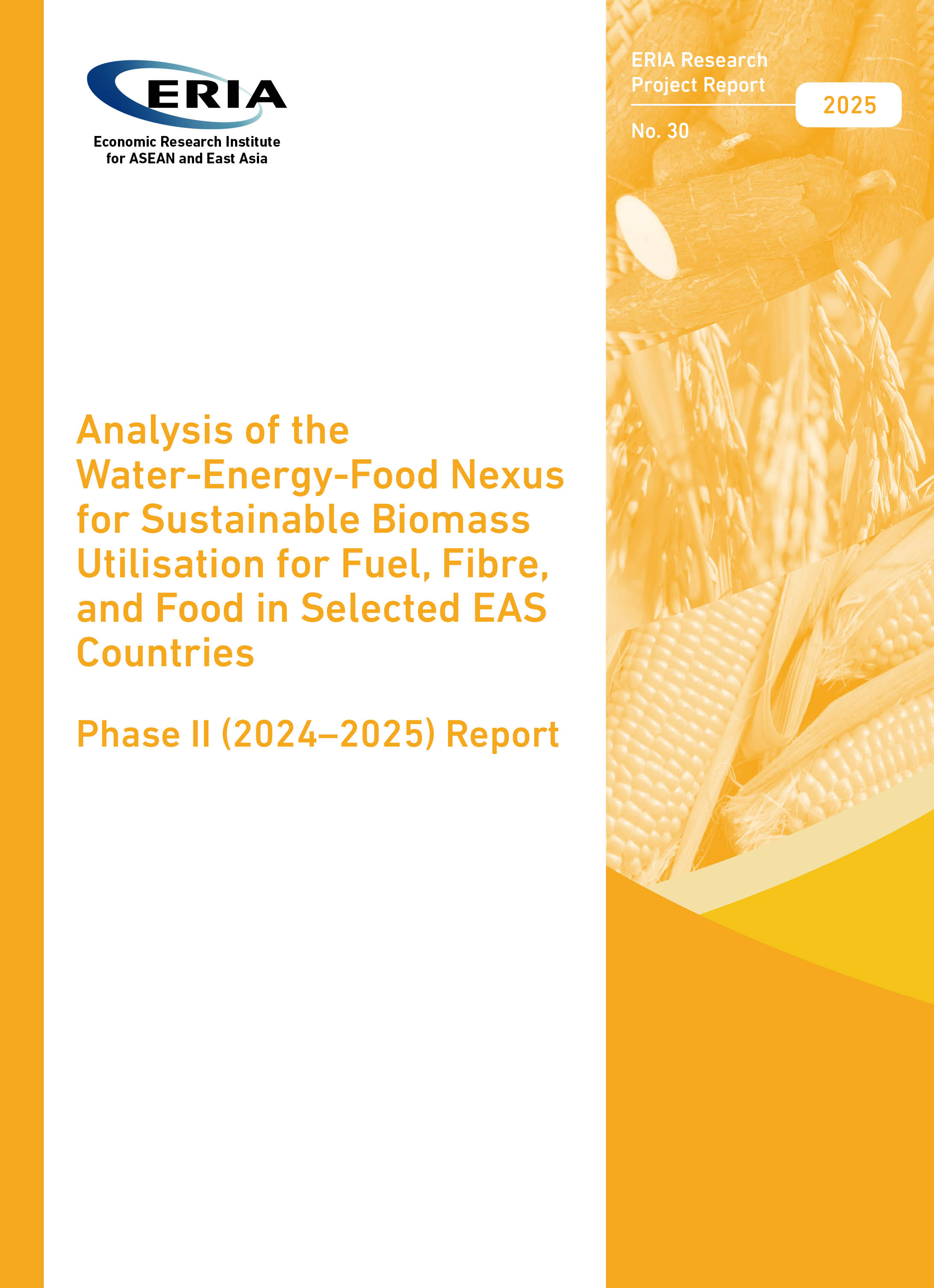 Research Project Reports | Economic Research Institute for ASEAN and ...